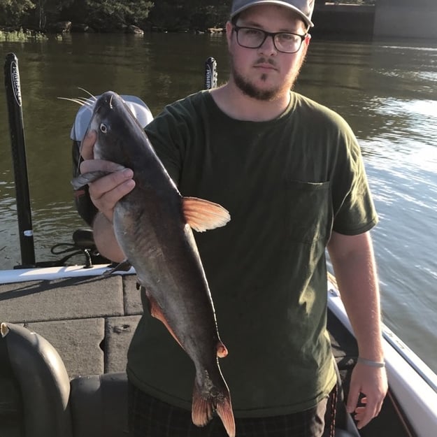 Catch with Care: Best Practices for Handling and Protecting Fish