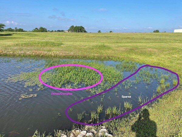 Managing Fish Habitat in Shallow Areas of a Pond