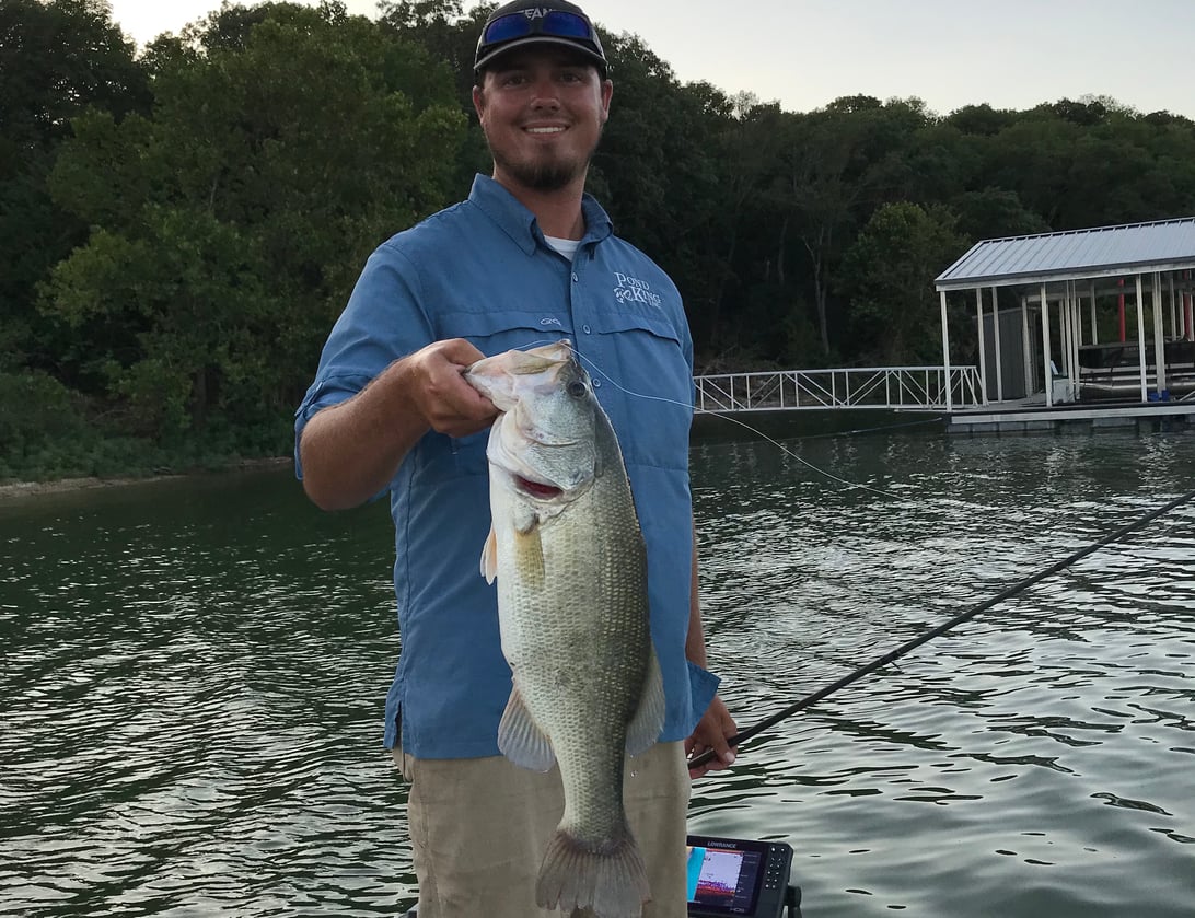 Understanding Largemouth Bass Genetics