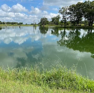 Pond Stocking 101: How to Stock a Pond