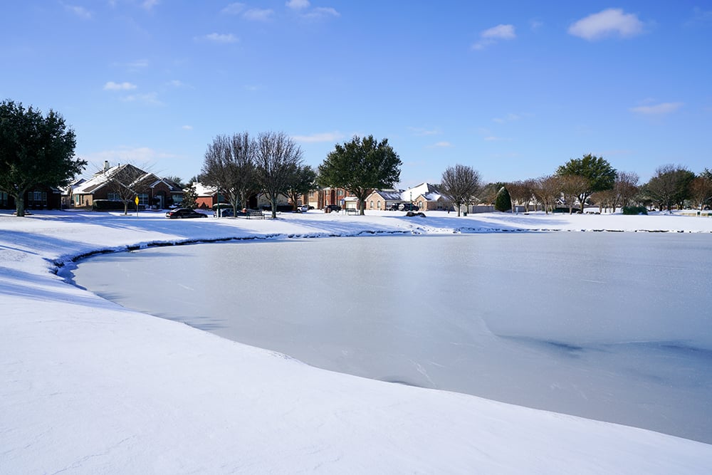 Winter Pond Care: Cold-Weather Strategies for Healthy Fish & Water