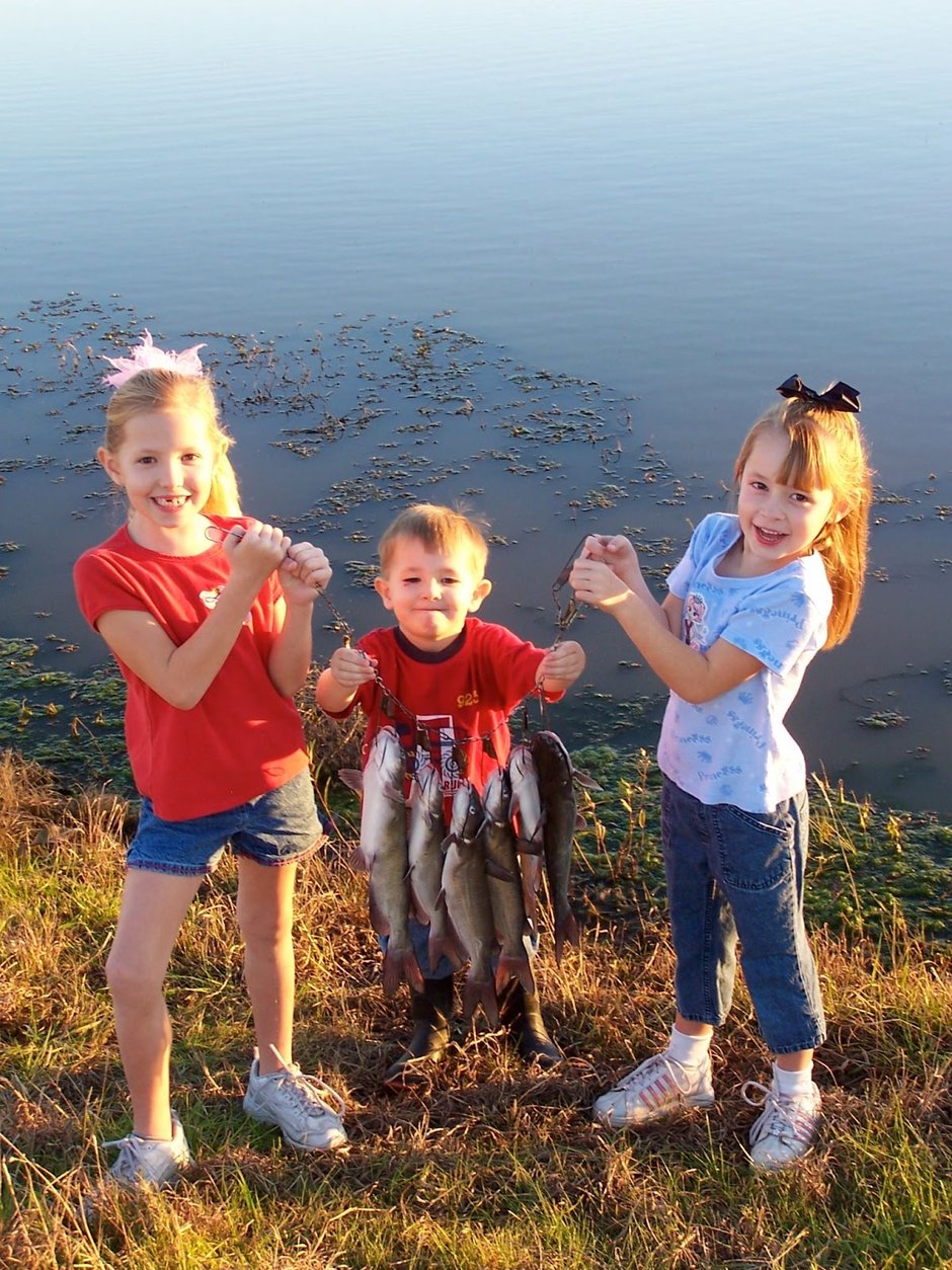 Catfish: The Perfect Addition to Your Pond for Sport and Sustainability
