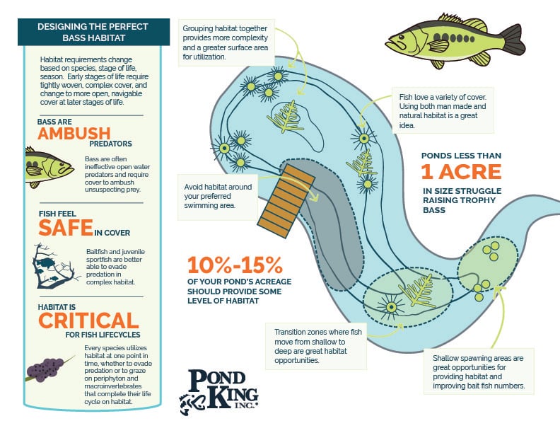 Key Tips for Designing the Perfect Bass Habitat in One Infographic
