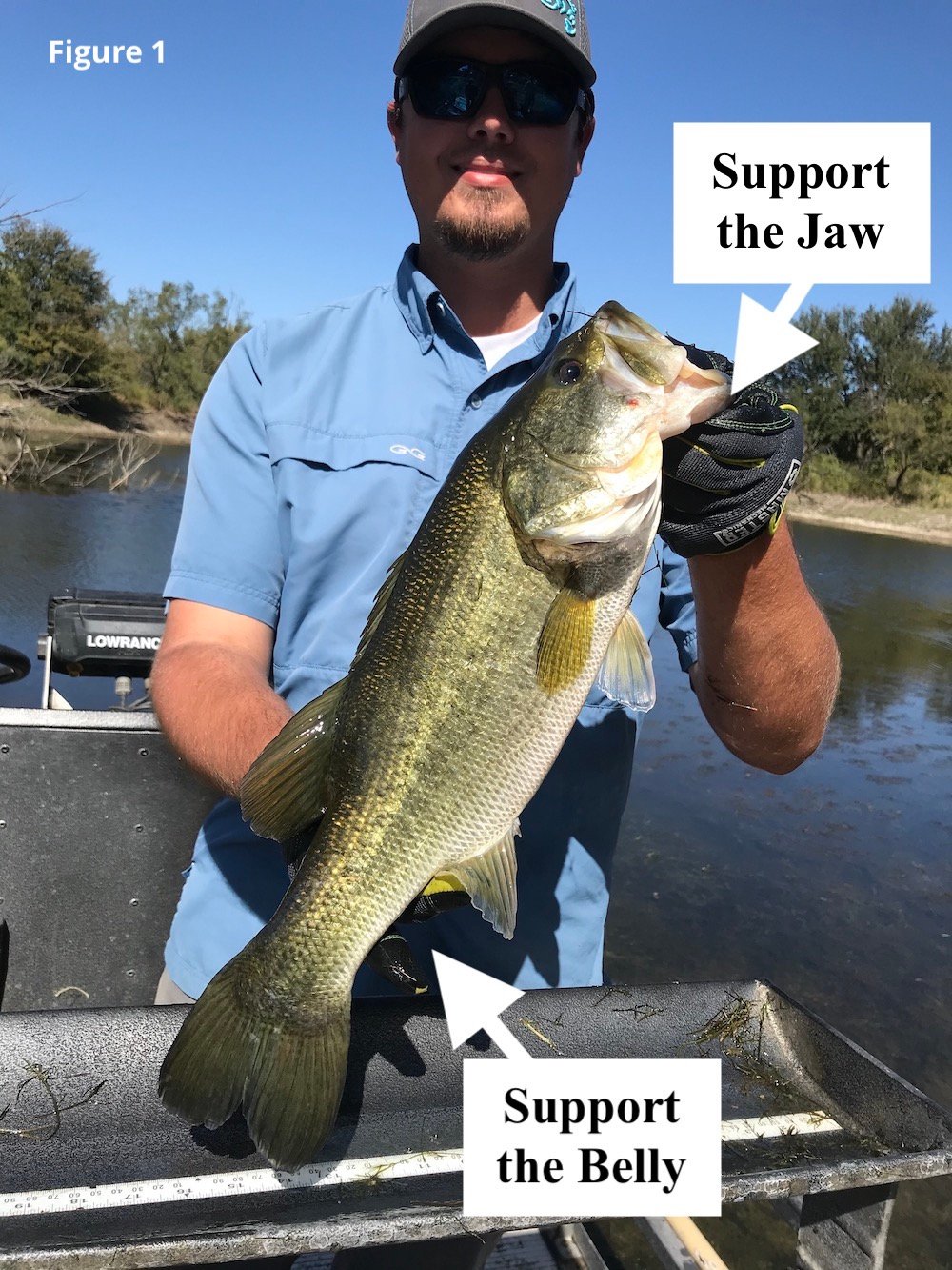 How to Handle Your Catch