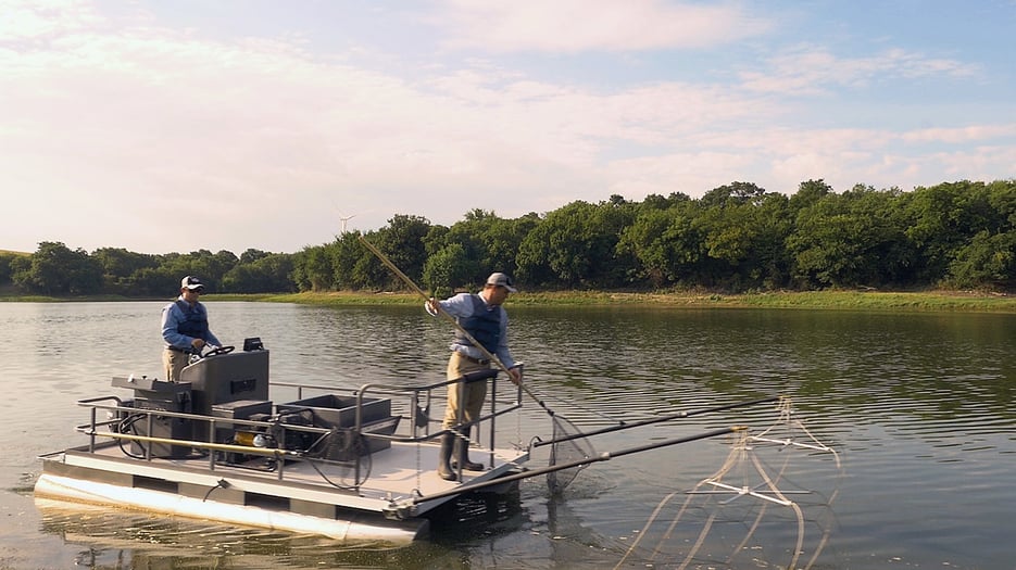 Understanding the Role of a Fisheries Biologist