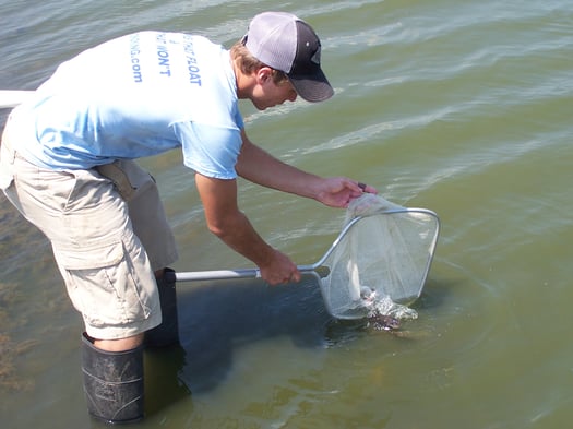 Expert Tips for Successful Pond and Lake Management in Texas