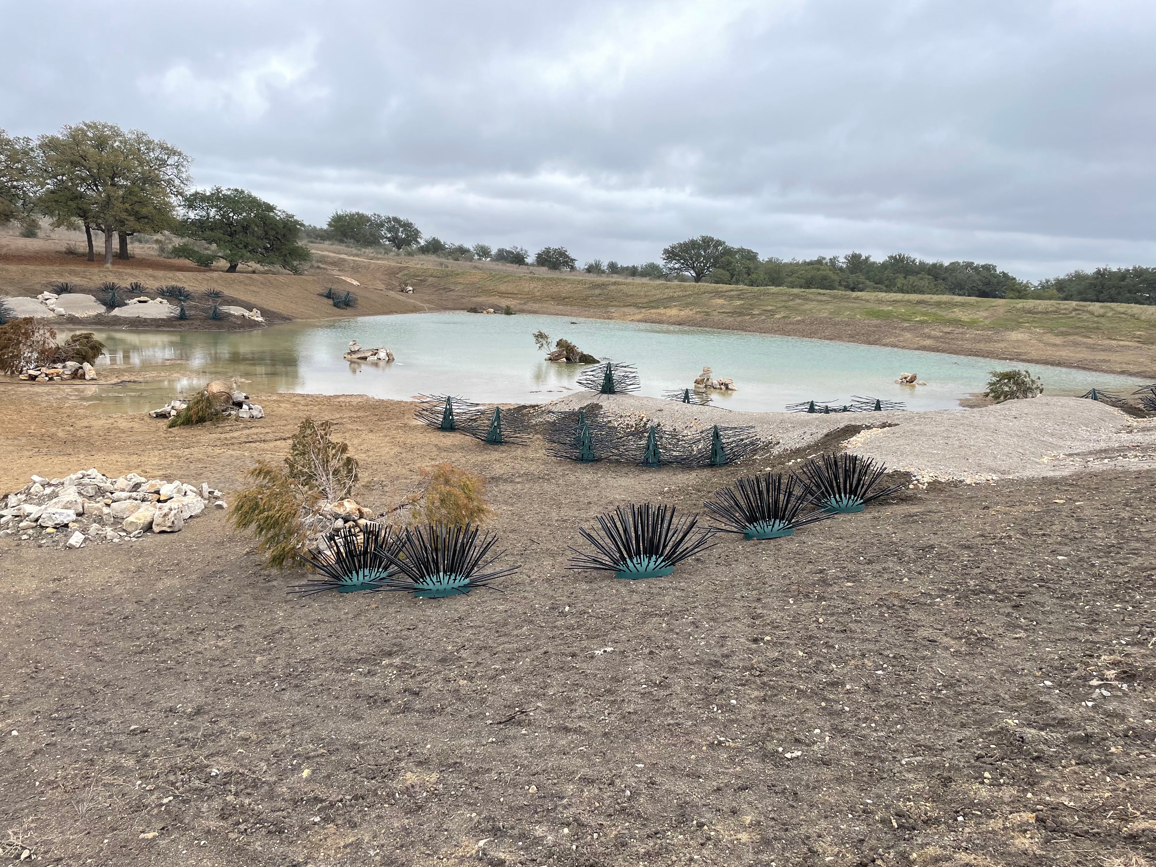 Understanding Natural and Artificial Pond Habitat and Their Benefits