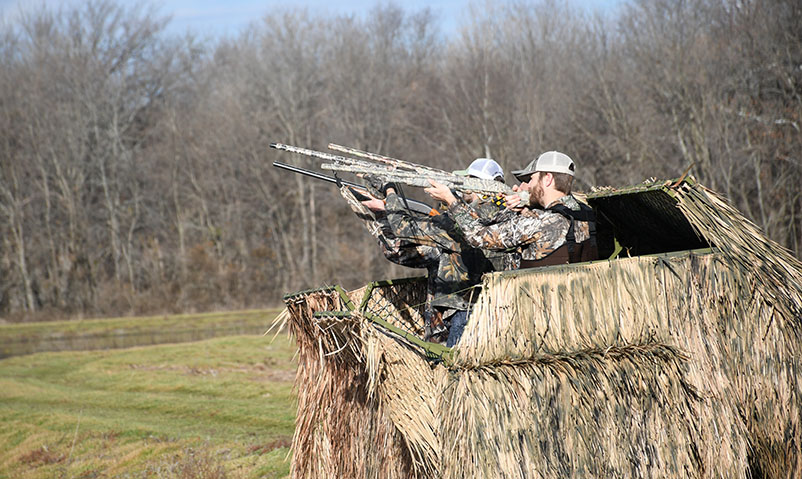 Ready, Aim, Quack! Your Complete Beginner’s Guide to Duck Hunting