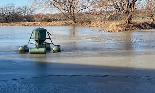 Winter Pond Care: Cold-Weather Strategies for Healthy Fish & Water