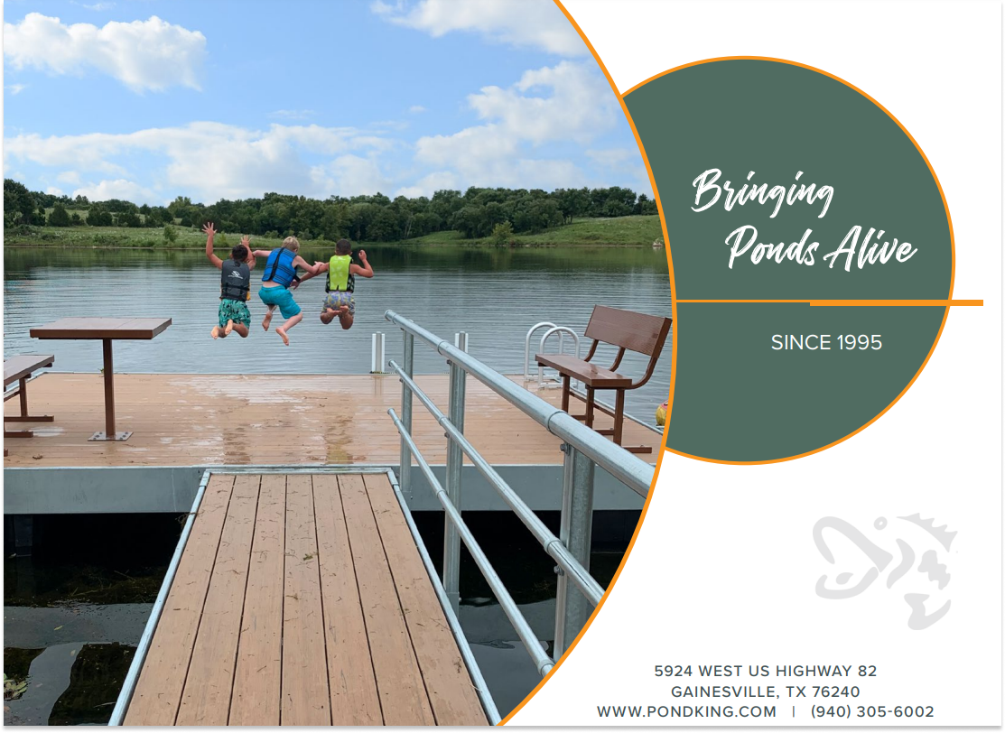 Pond Stocking 101: How to Stock a Pond